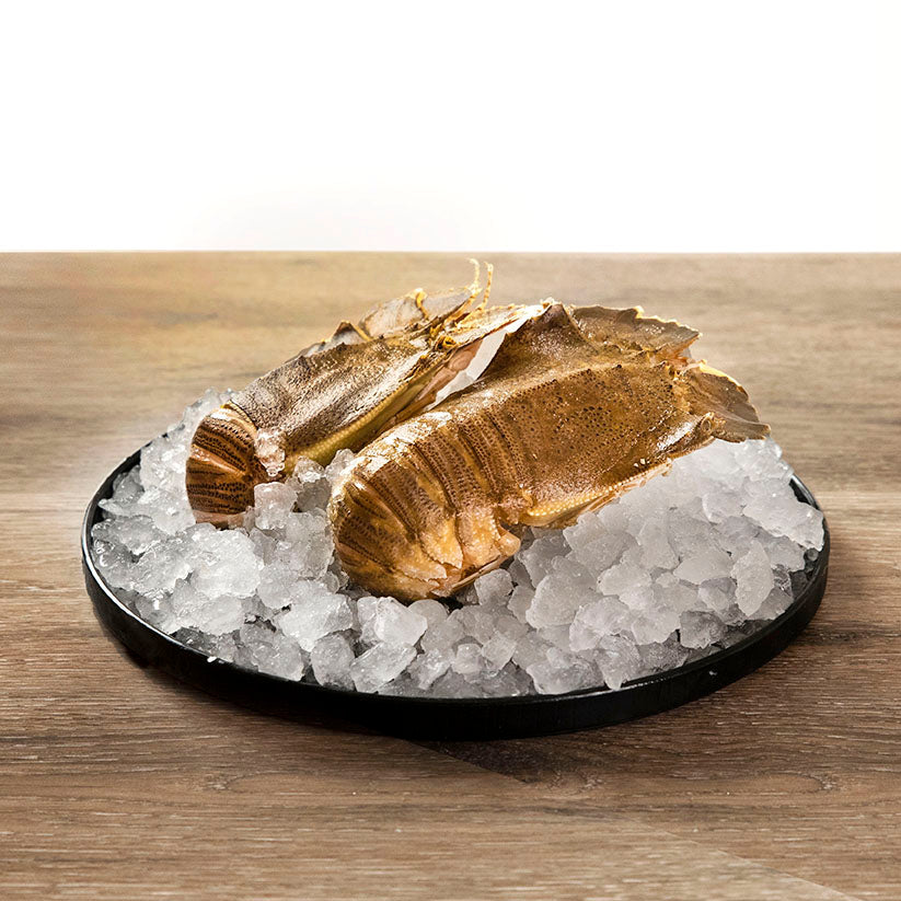 Whole Bugs | Oceania Seafoods Select — osselect