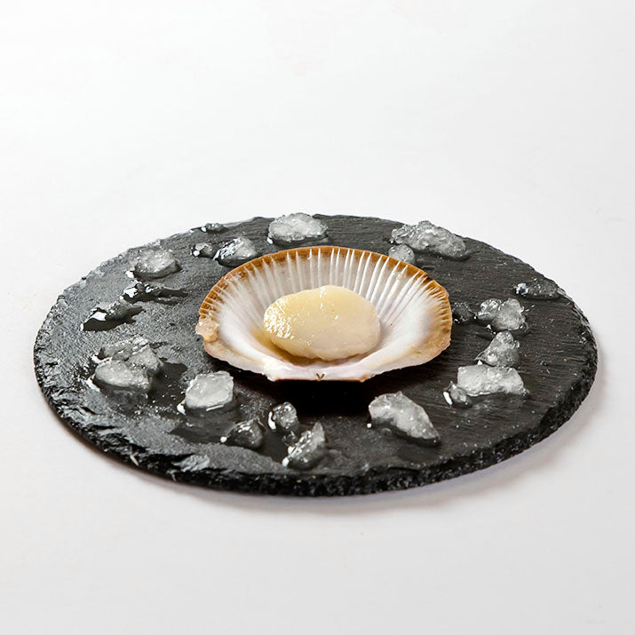 Tasmania Half Shell Scallop (Roe off) | Oceania Seafoods Select — osselect