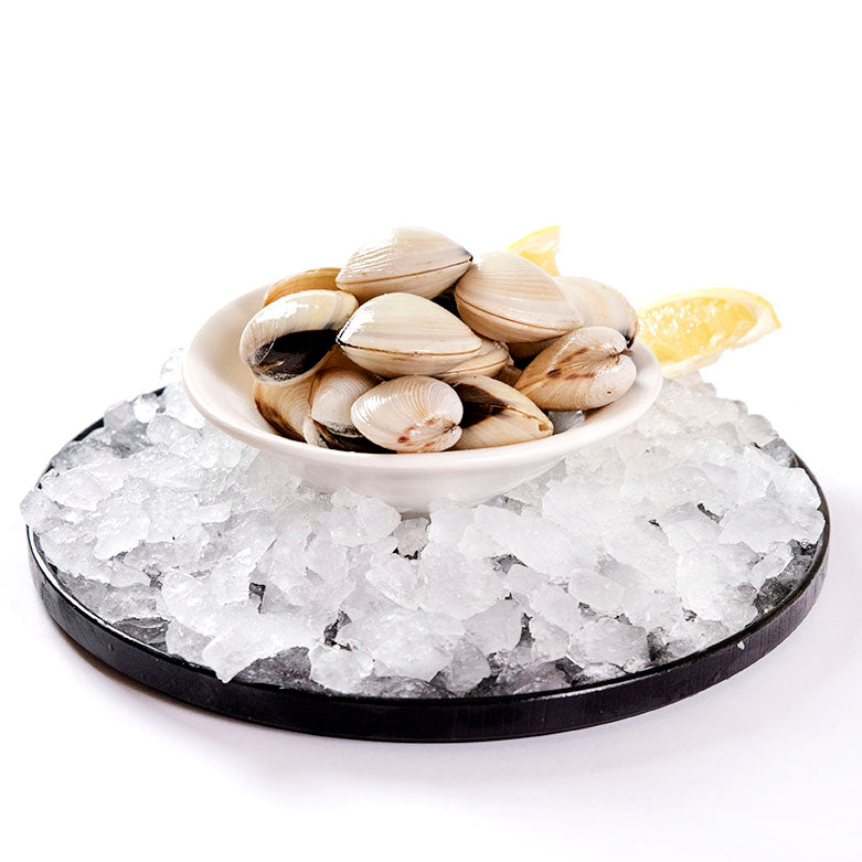 Imported Frozen Pipi | Oceania Seafoods Select — osselect