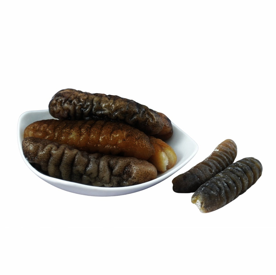 Sea Cucumber | Oceania Seafoods Select — osselect