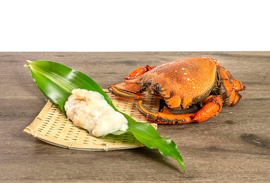 Spanner Crab Meat | Oceania Seafoods Select — osselect